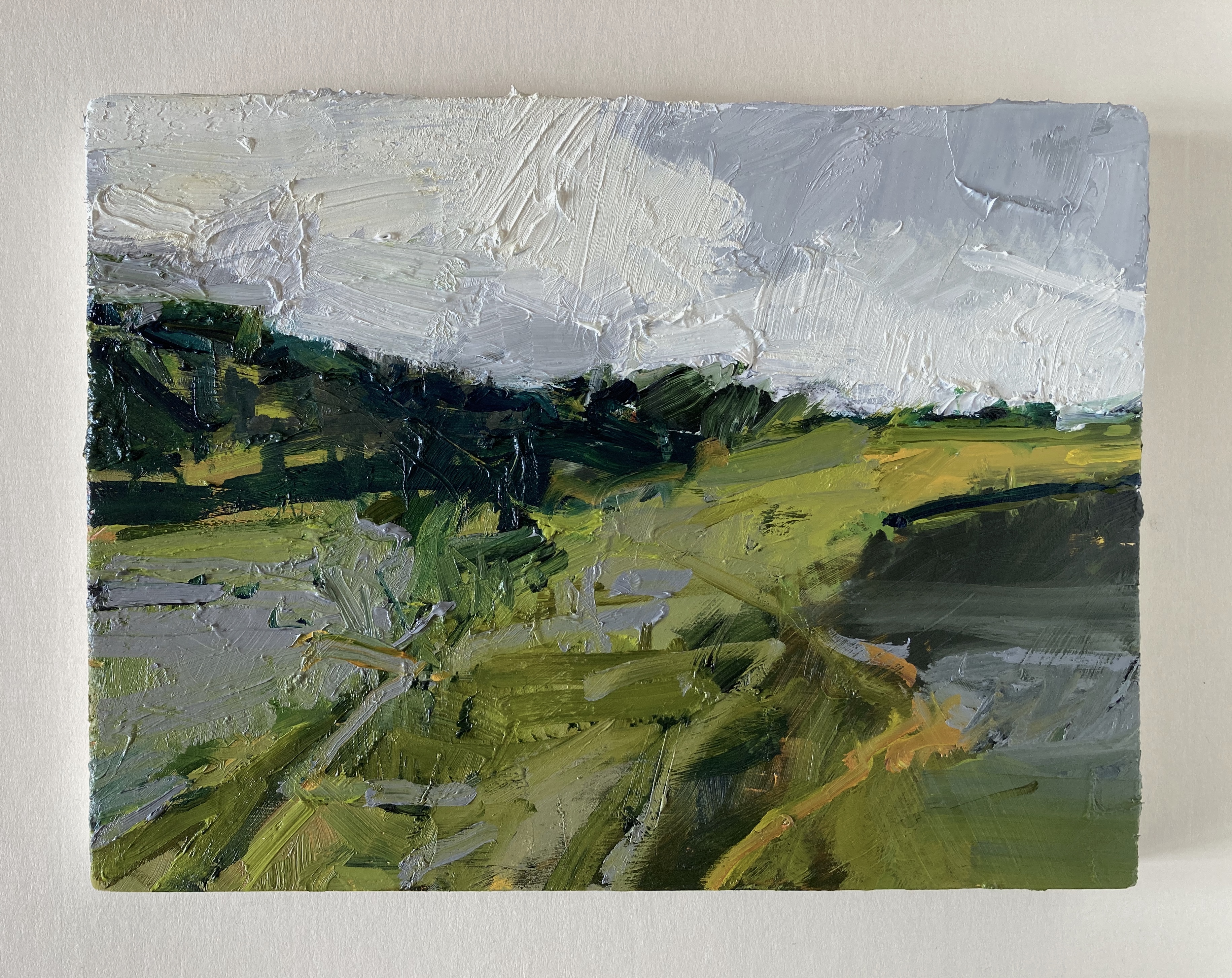 Track through the fields. – dominique cameron RSW