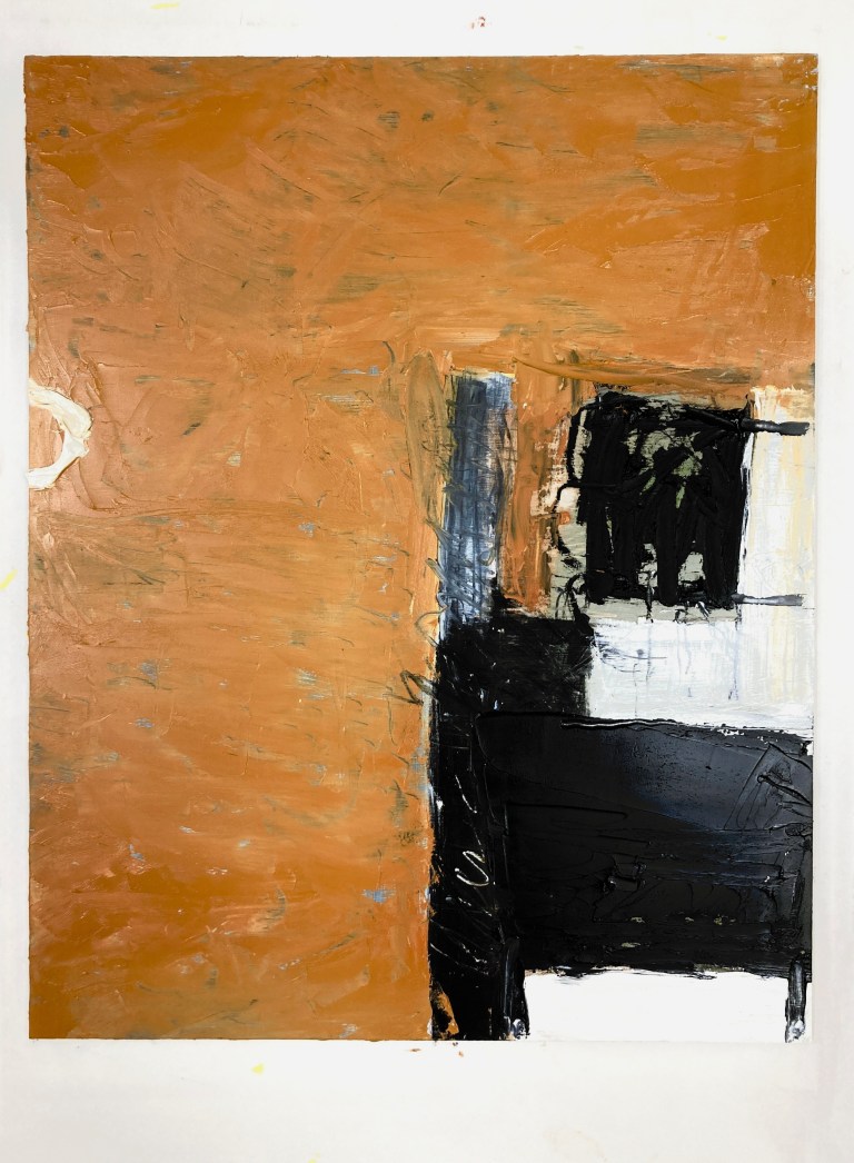 dominique cameron RSW – artist