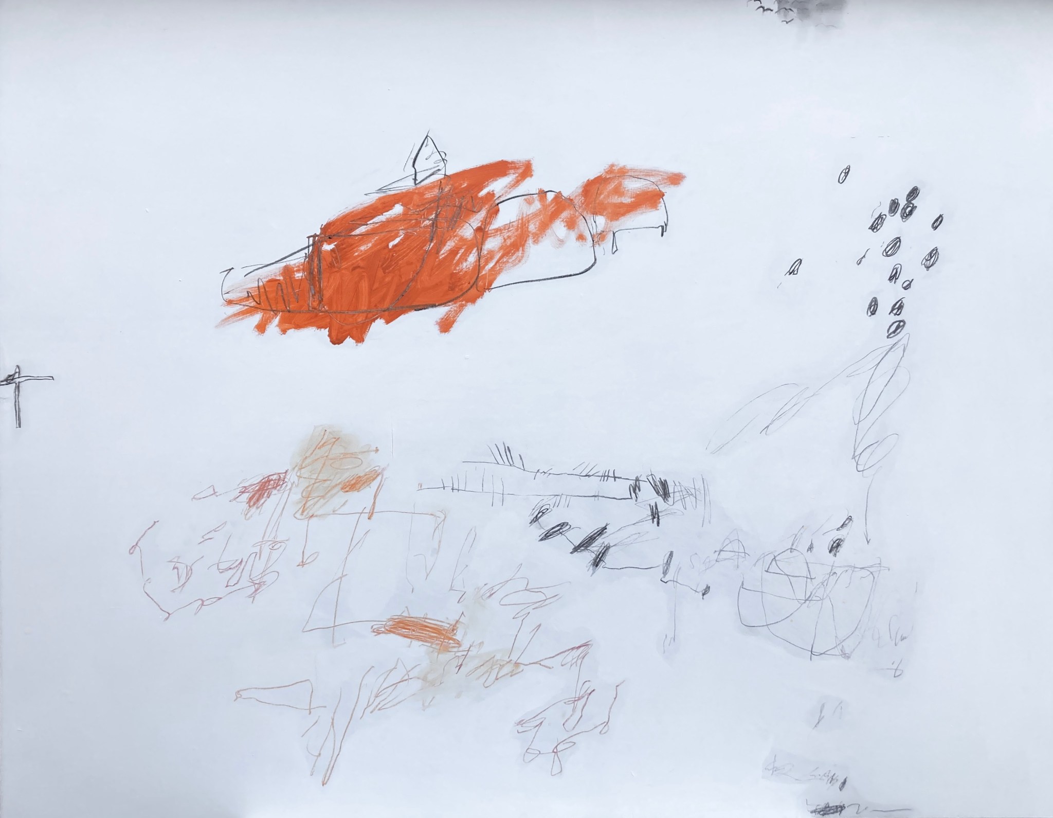 dominique cameron RSW – artist