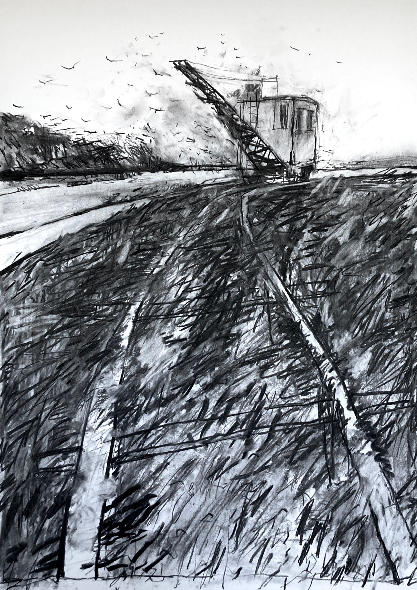 dominique cameron RSW – artist