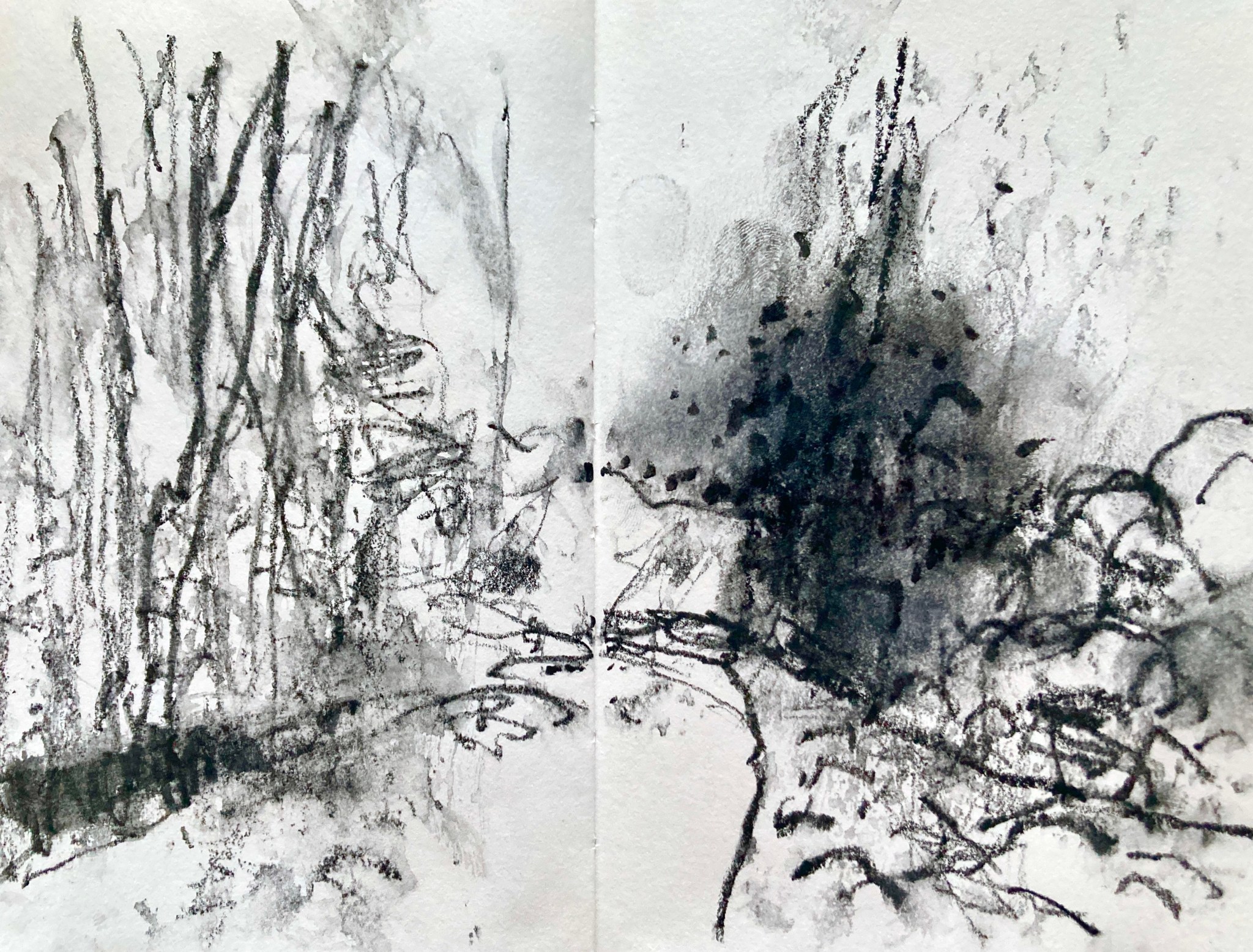 dominique cameron RSW – artist